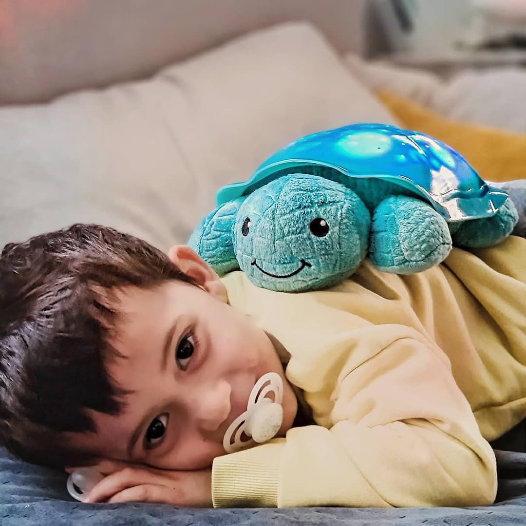 Twinkling Twilight Turtle™ – cloud.b