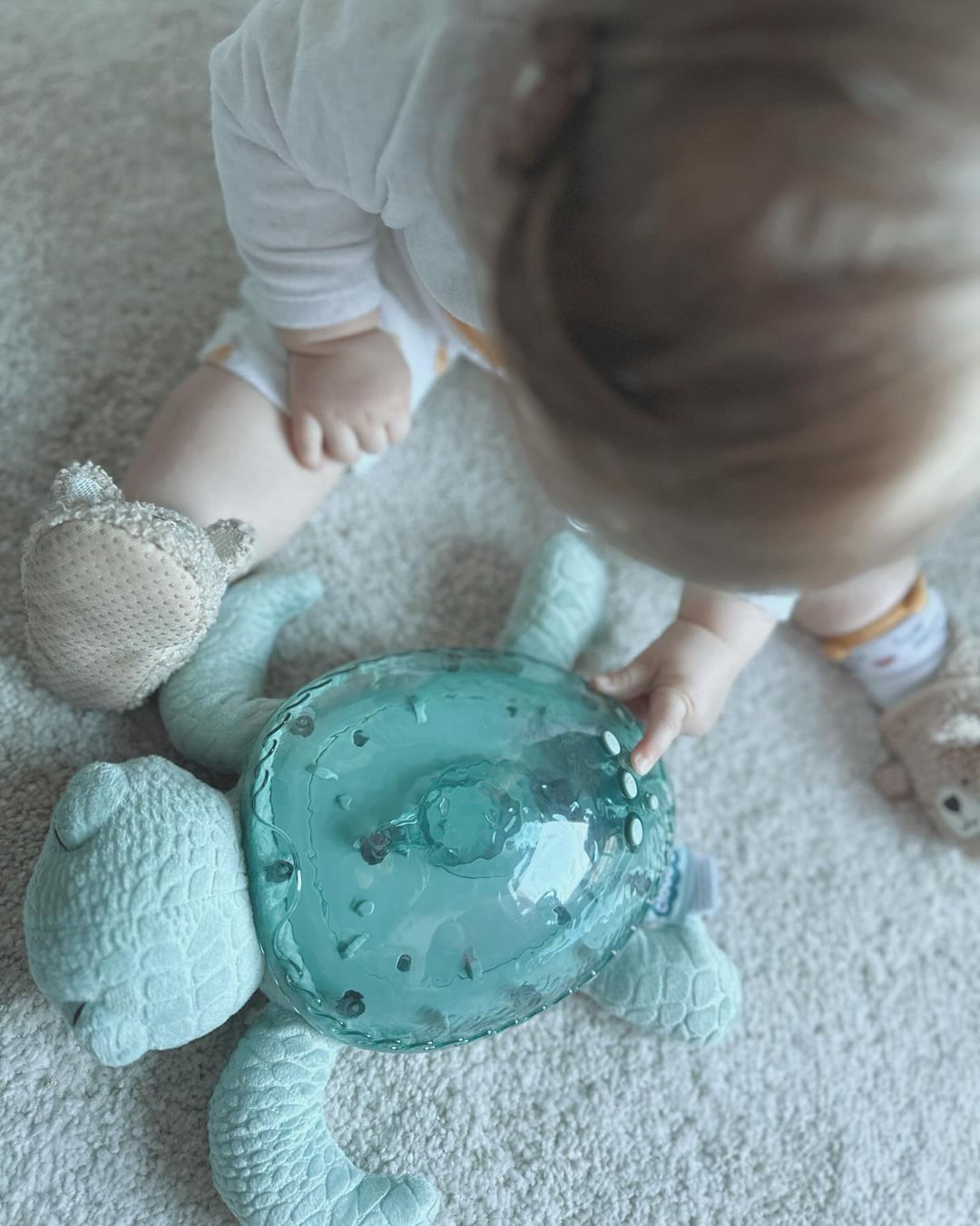 Tranquil Turtle™ Rechargeable – cloud.b